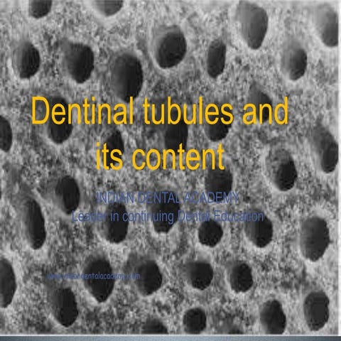 Dentinal tubules and its content final/cosmetic dentistry courses | PPTX