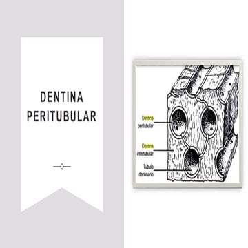 Dentina Peritubular.pptx