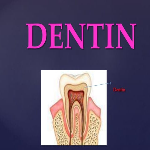 Dentin ^_^ | PPTX