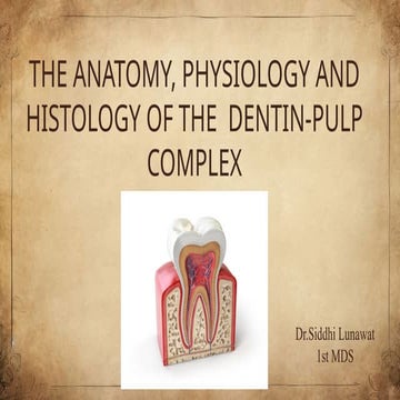 Dentin Pulp complex.pptx