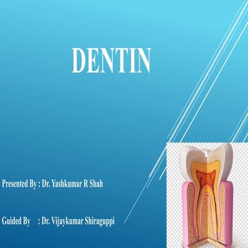 Dentin By Dr Yashkumar Shah | PPTX