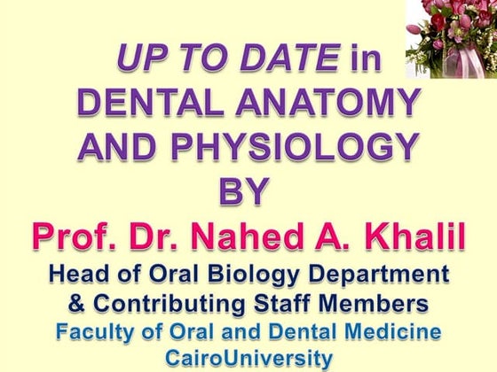 Tooth numbering system | PPT