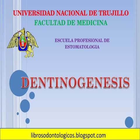 Dentinogenesis | PPT