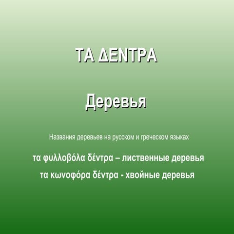 Dentra | PPS