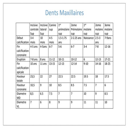 dents maxillaires.pdf