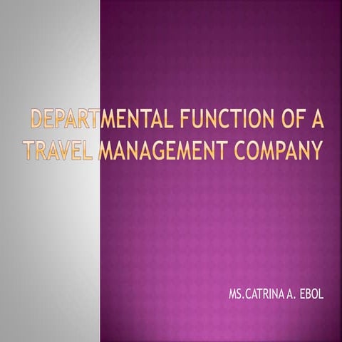 MS.TLE Departmental function of a travel management company | PPTX