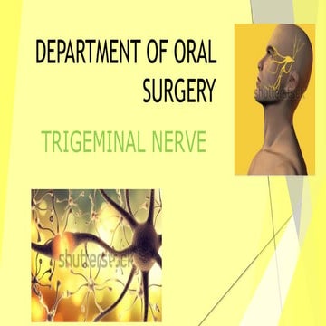 Coffedent anatomy mcqs fcps part 1 preparation | PDF