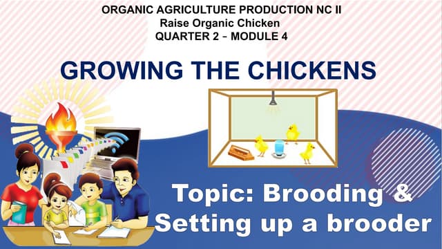 Free-range chicken Production chicken-housing.pptx