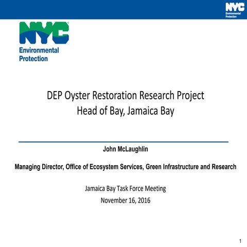 Dep head of bay oyster project jam bay task force november 2016 | PDF ...