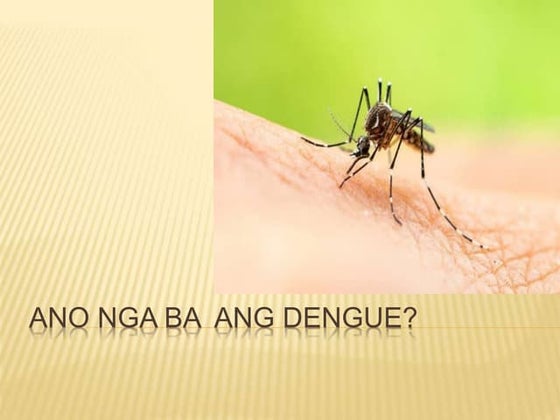 dengue_tagalog2.ppt