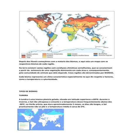 Depois Dos FóSseis ComeçáMos Com A Materia Dos Biomas | PDF
