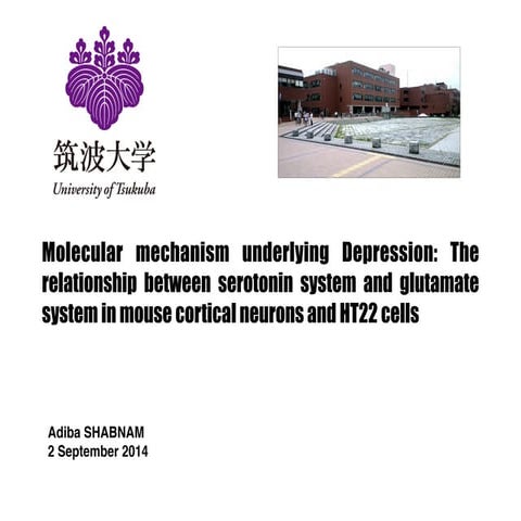 Molecular mechanism underlying Depression: The relationship between ...