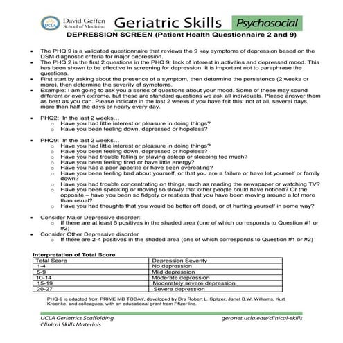 depression-screen phq9 for geriatrics.pdf