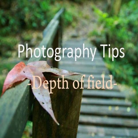 Depth of field | PPT