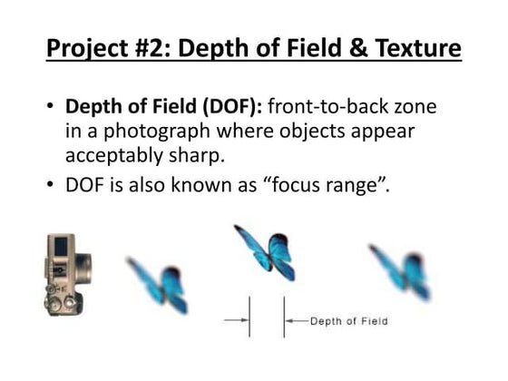 Photography Skill - Aperture and Depth of Field | PPT