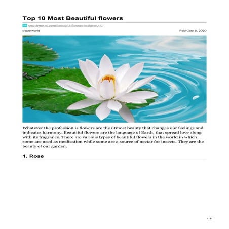 Top 10 Most Beautiful flowers | PDF