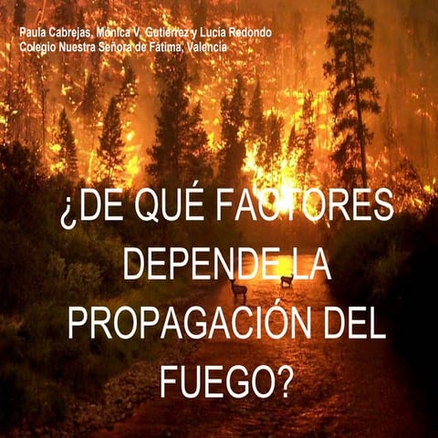 ¿De qué factores depende la propagación del fuego? | PPT