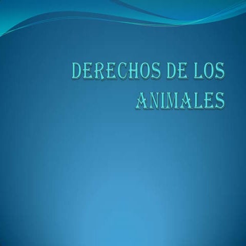 Derechos de los animales 22 | PPTX