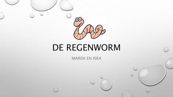 Spreekbeurt Ruben over reizen in Azië | PPT