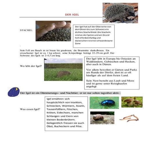 Der igel | PDF
