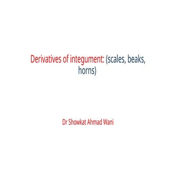 Derivatives of integument scales, beaks, horns,.pptx