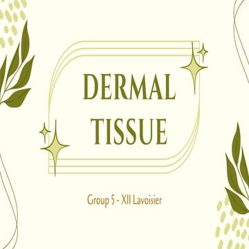 Dermal Tissue System (PLANT) – PPT Overview | PDF