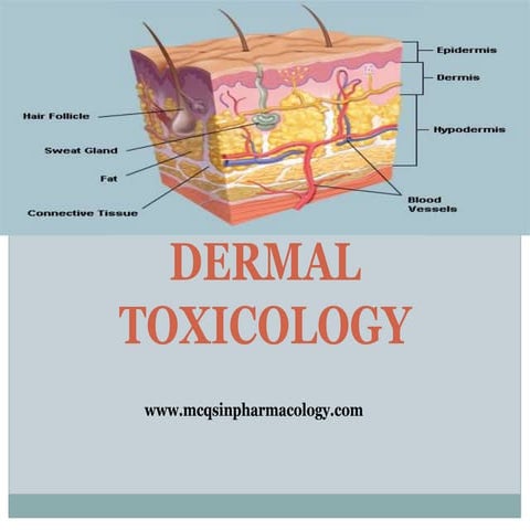 Dermal toxicology | PPTX | Skin and Dermatology | Diseases and Conditions
