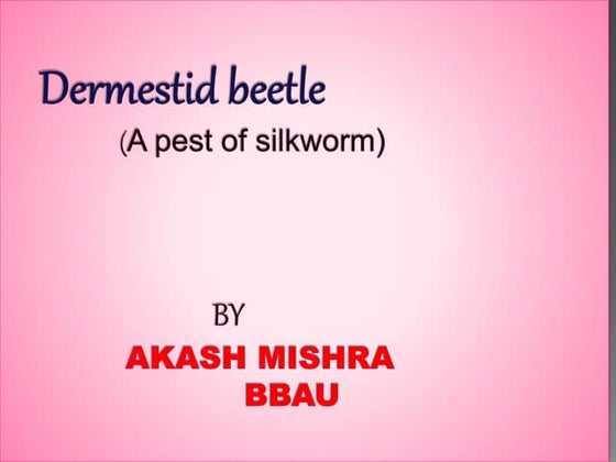Ubuntu Server CLI cheat sheet 2024 v6.pdf | Operating Systems ...