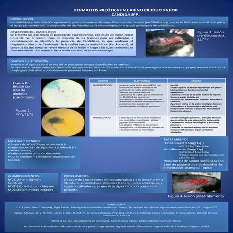 Ascaridia galli | PPT
