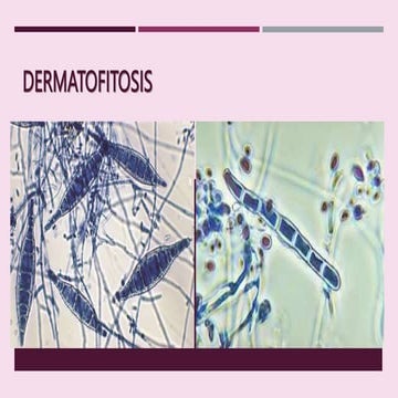 Dermatofitos.pptx