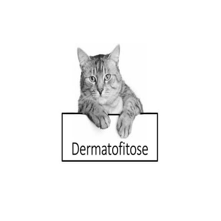 DERMATOFITOSE EM ANIMAIS DE PEQUENO PORTEpeb.pdf