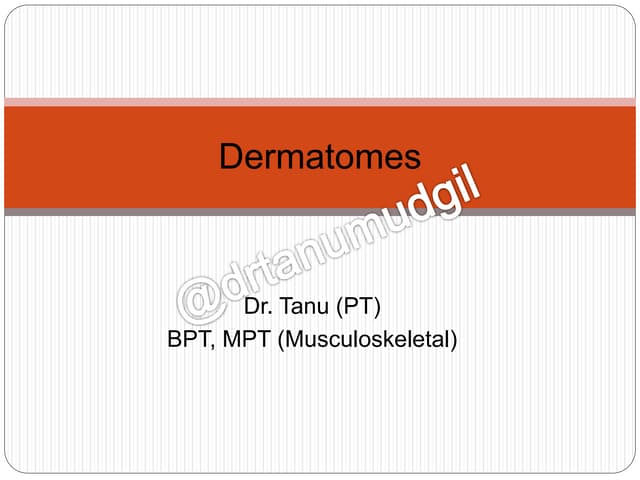 UPPER LIMB DERMATOMES AND THEIR CLINICAL SIGNIFICANCE. pptx | PPTX