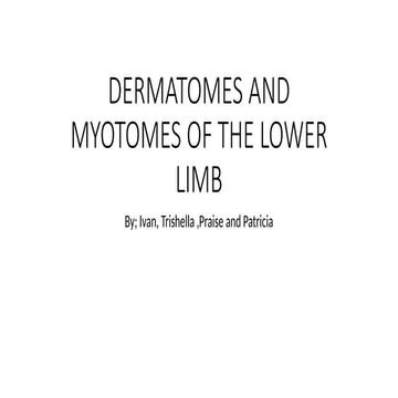 UPPER LIMB DERMATOMES AND THEIR CLINICAL SIGNIFICANCE. pptx | PPTX