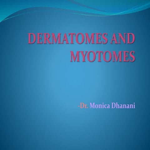 UPPER LIMB DERMATOMES AND THEIR CLINICAL SIGNIFICANCE. pptx | PPTX
