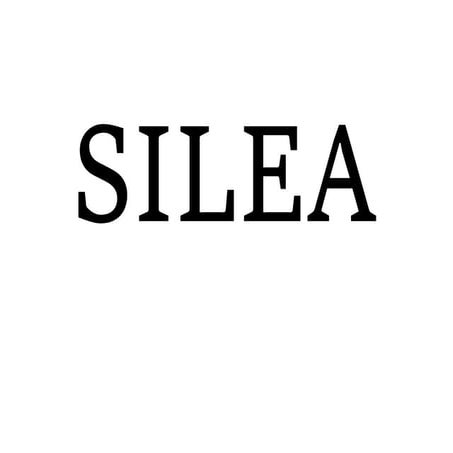 DESA.docx