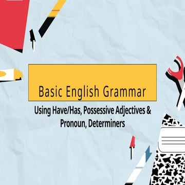 basic english grammar (have/has,possessive adjectives, pronoun ...