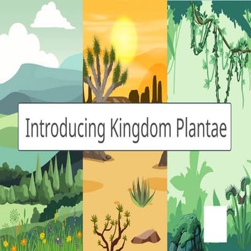 Plant Kingdom.pptx
