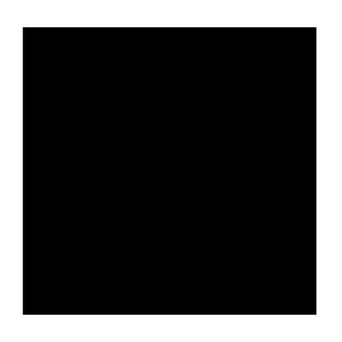 Desarraigo y pertenencia | PPT
