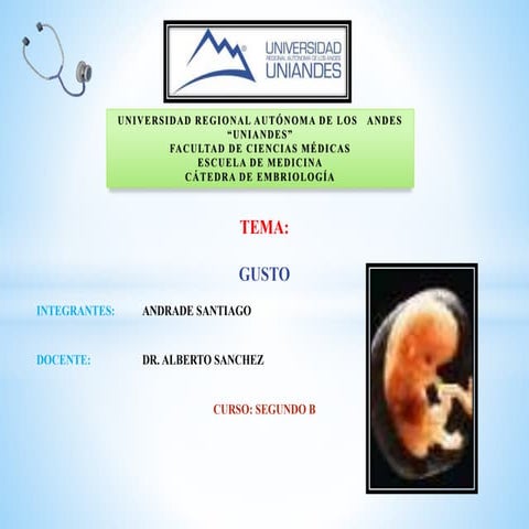 Arcos, Hendiduras Y Bolsas FaríNgeas | PPT