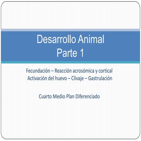 DESARROLLO ANIMAL | PPTX