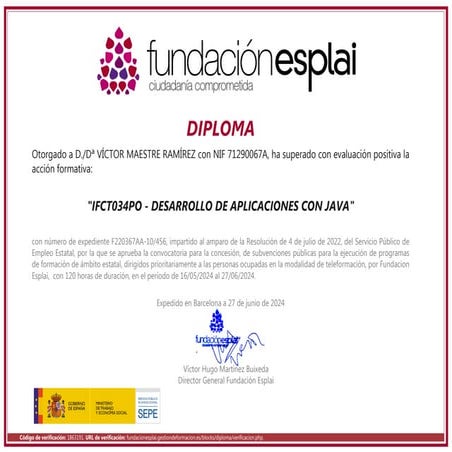 Diploma de Desarrollo de Aplicaciones con JAVA | PDF