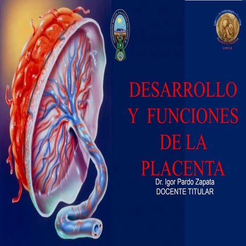 Desarrollo Y Funciones De La Placenta Dr Igor Pardo Zapata 2017 Ppt