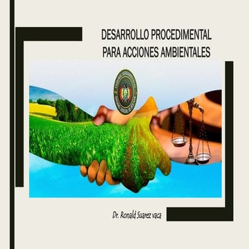 DESARROLLO PROCEDIMENTAL PARA ACCIONES.pptx