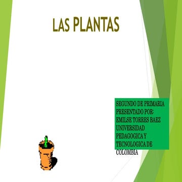 Las Plantas | PPTX