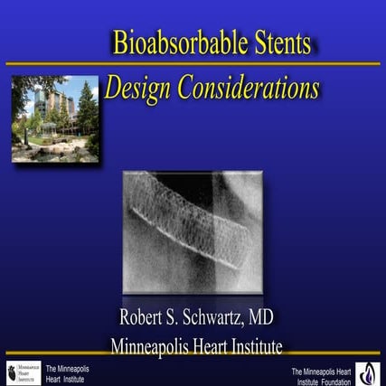 MeRes100 Bioresorbable Scaffolds Brochure | PDF