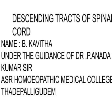 DESCENDING TRACT by Buddareddygari kavitha | PPTX