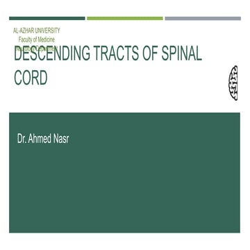 Descending Tracts of spinal cord.pptx