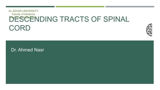 Tracts Of Spinal Cord 1 Ppt