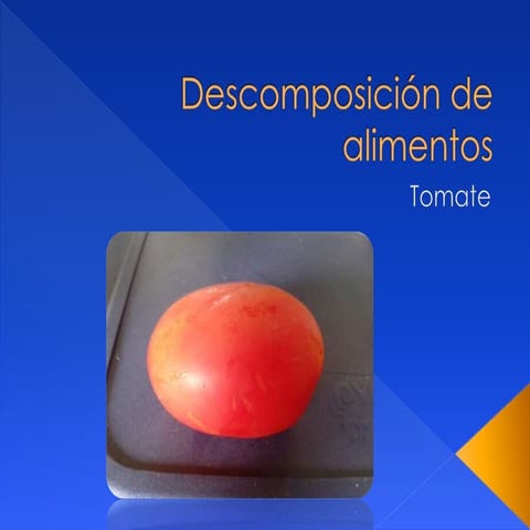 Descomposición de alimentos | PPTX