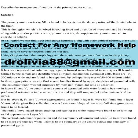 Describe the arrangement of neurons in the primary motor cortexS.pdf